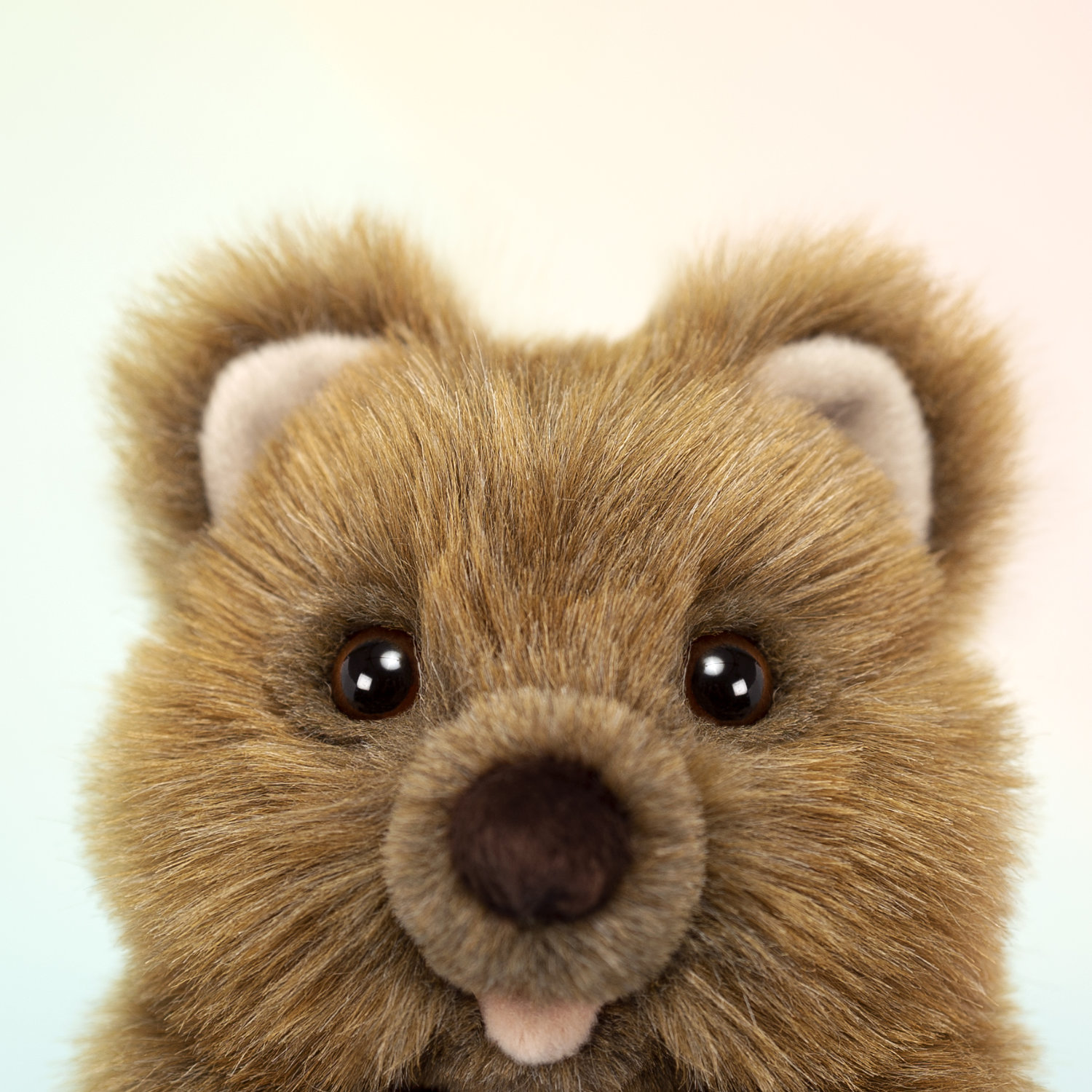 Smile like a Quokka - Trudi