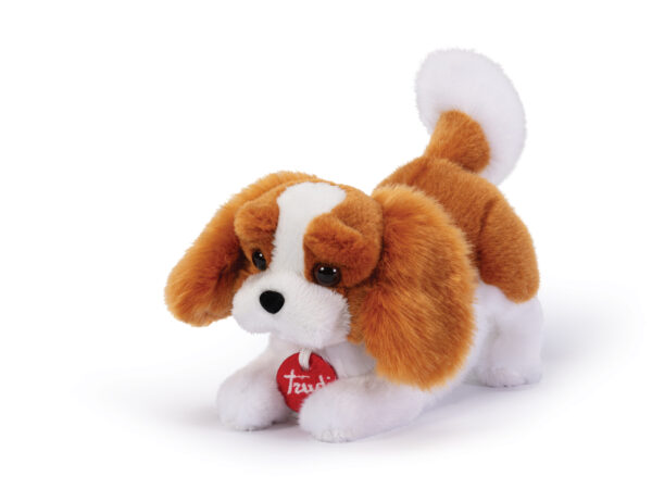 Cani Archivi - Trudi